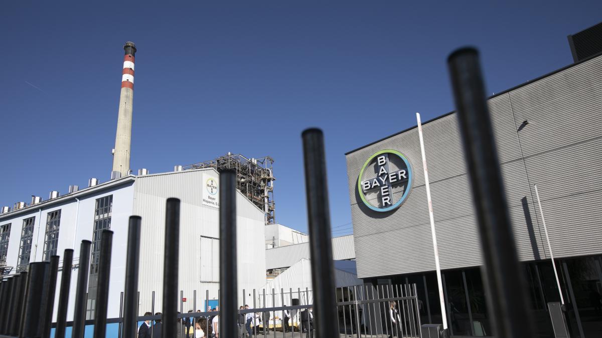 Bayer demanda a Pfizer, Moderna y BioNTech por presunta infracción de ...