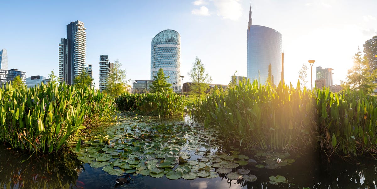 Accedi a Hotmail con Outlook, leggi le ultime news | MSN Italia