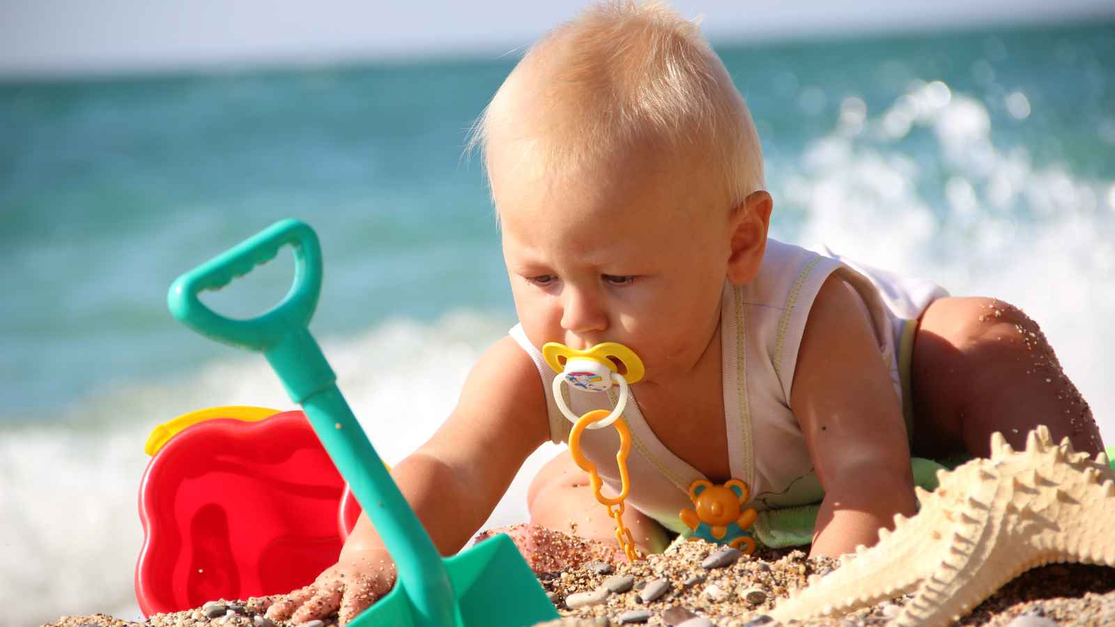 Le poisson au menu en 35 recettes