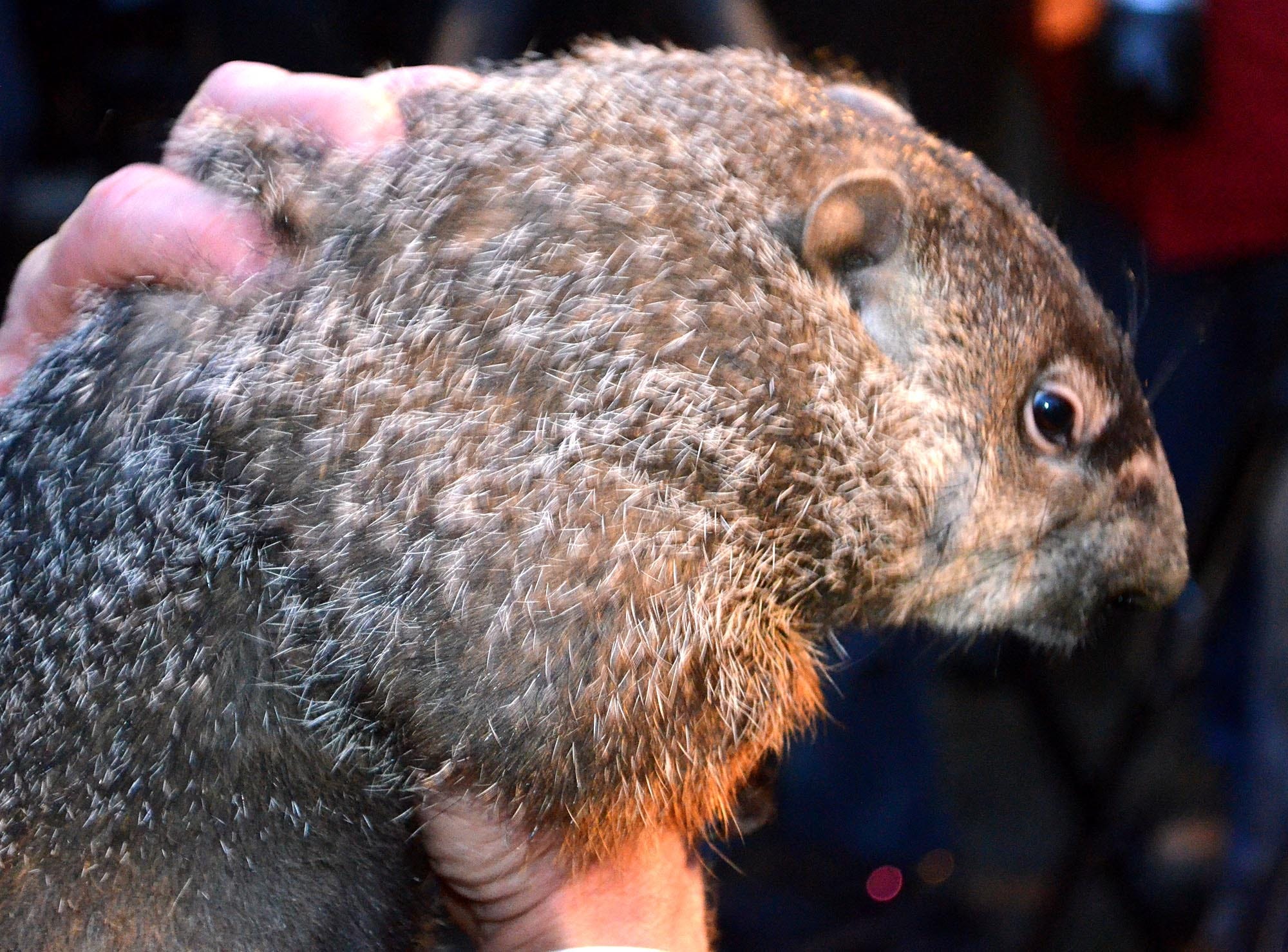 How many days until spring 2025? Cold, snow, wind has many looking ahead