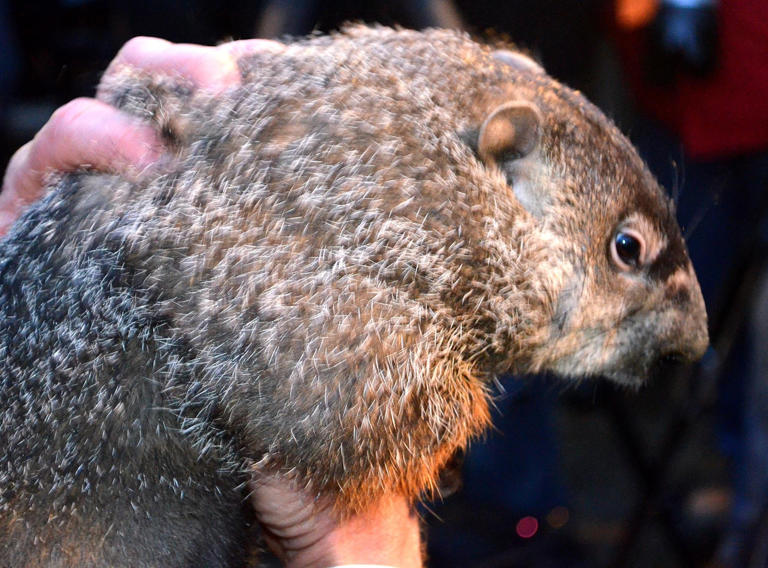 How many days until spring 2025? Cold, snow, wind has many looking ahead