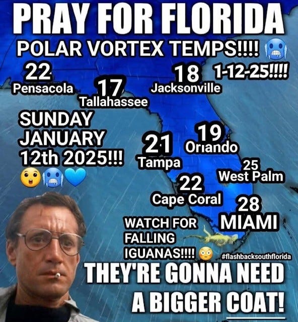 Frozen iguanas, Florida weather: Best Matt Devitt memes over the years