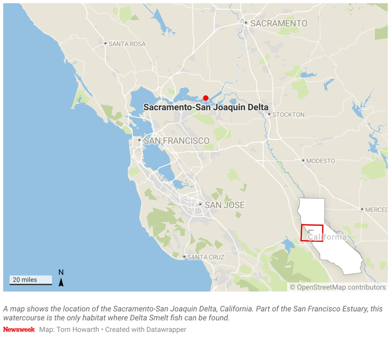 Trump Blames the Delta Smelt for Worsening LA Fires