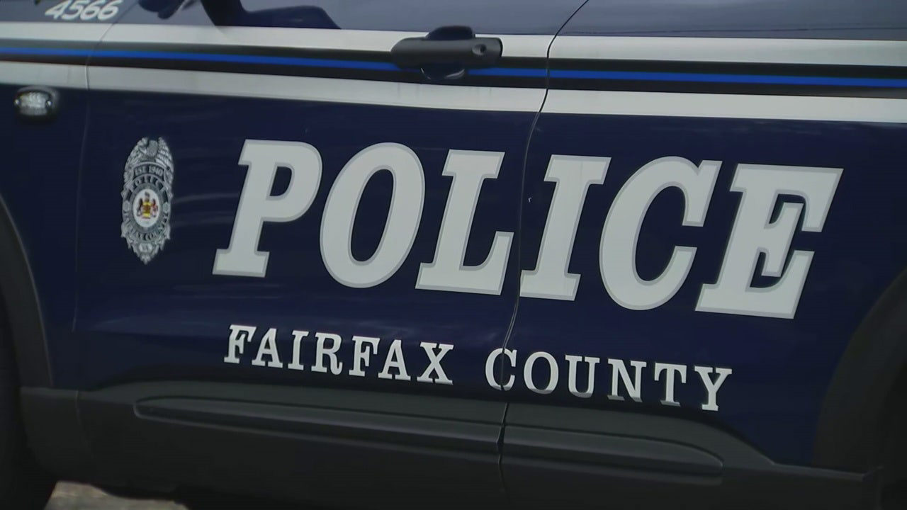 Fairfax County substitute teacher arrested after assaulting student: police Fairfax County substitute teacher arrested after assaulting student: police
