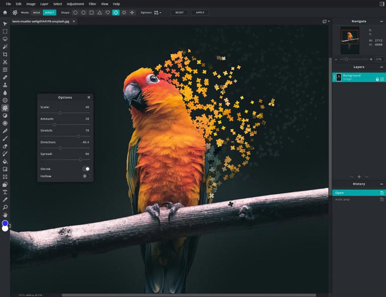 Best Photoshop alternatives – no-subscription photo editing software