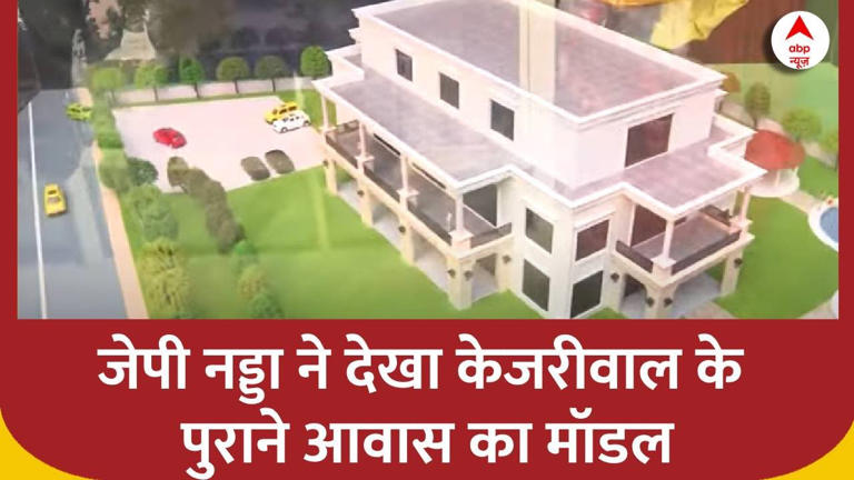 Delhi Election 2025: BJP President JP Nadda Takes A Closer Look At ...