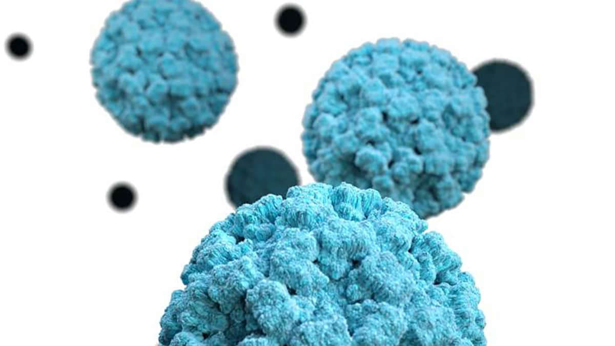 New norovirus strain is stoking the stomach flu surge New norovirus strain is stoking the stomach flu surge