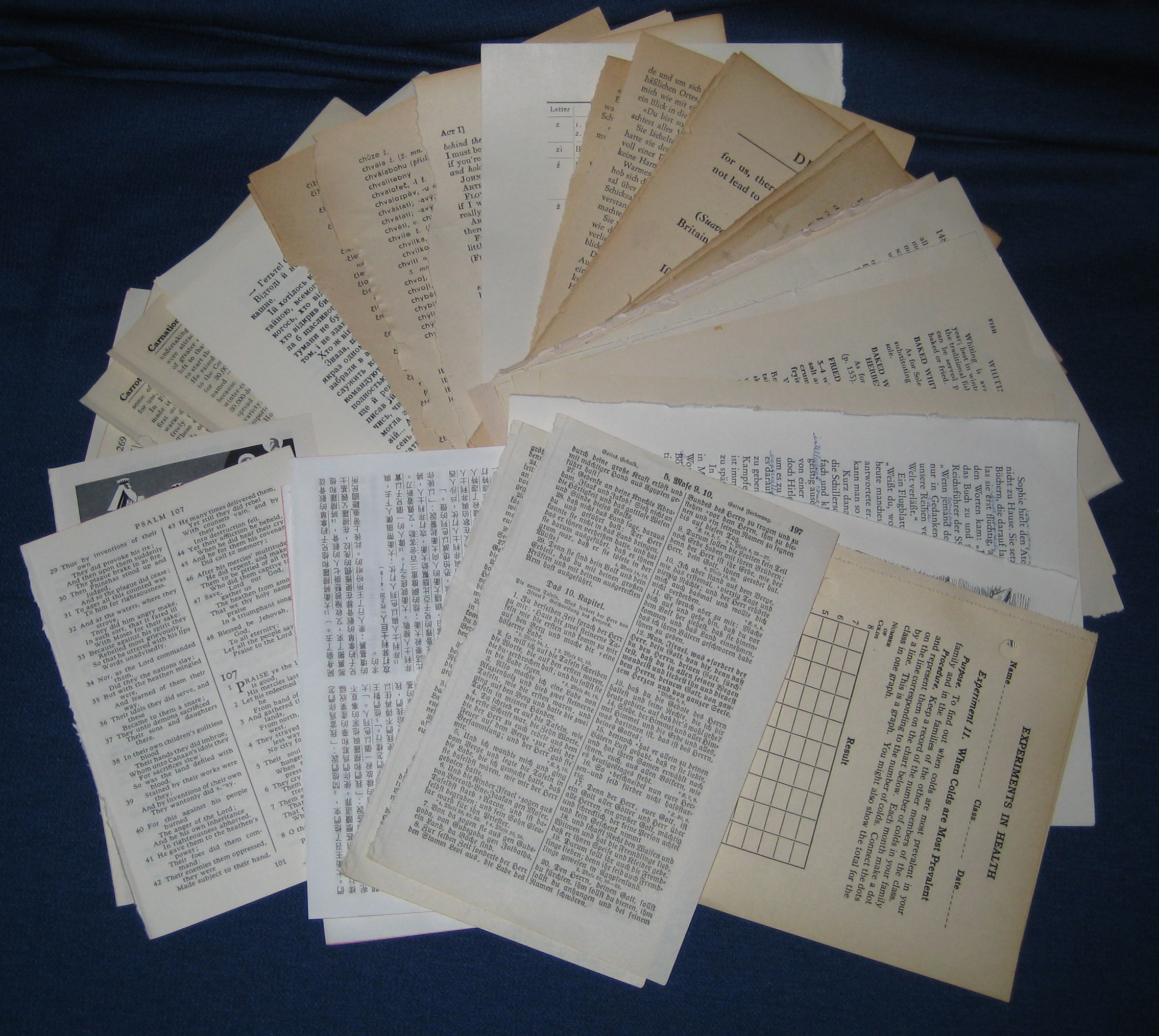 Old Book Reuse Ideas for Cozy Decor
