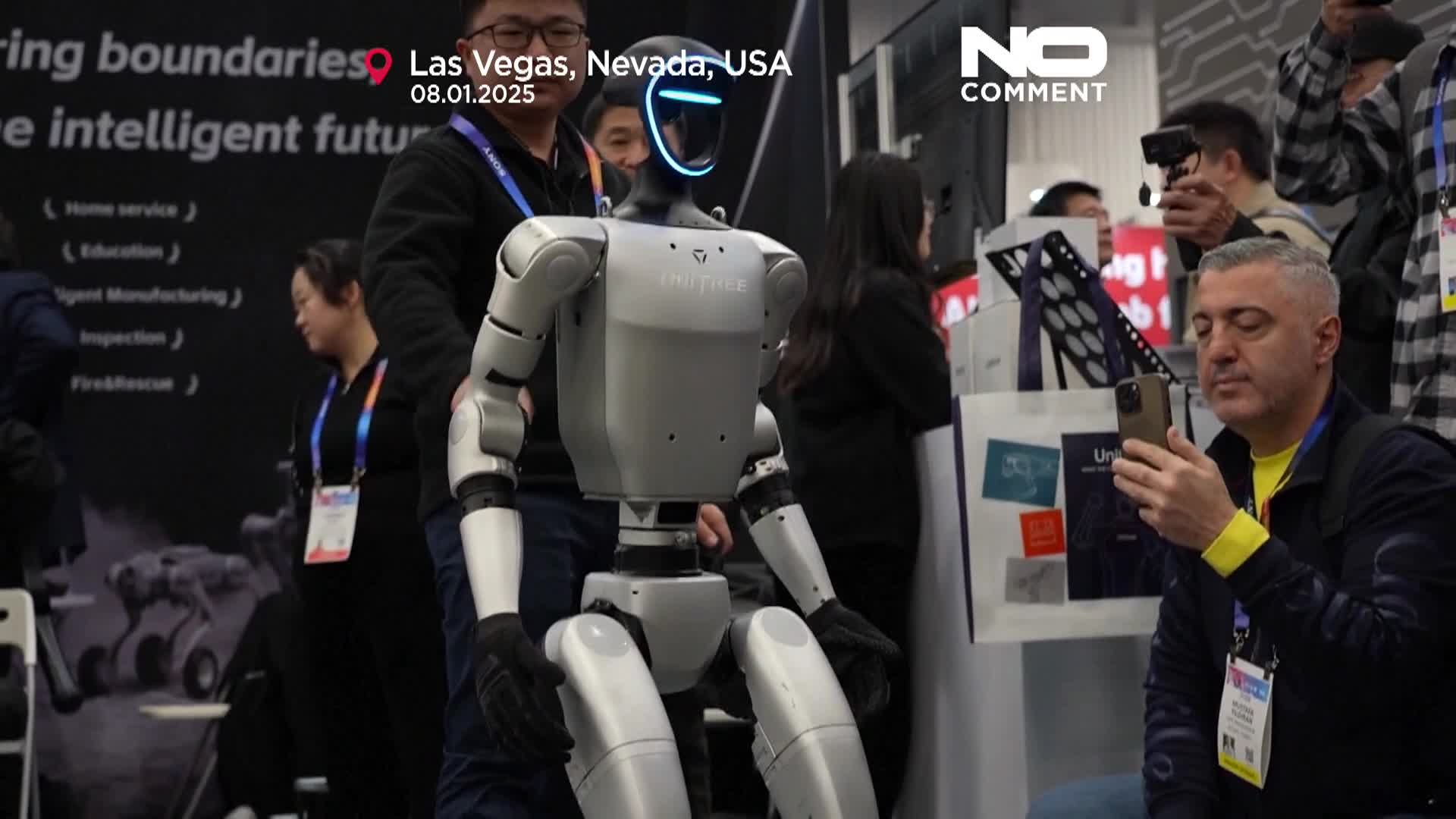 On show at the CES: Ever more efficient robots