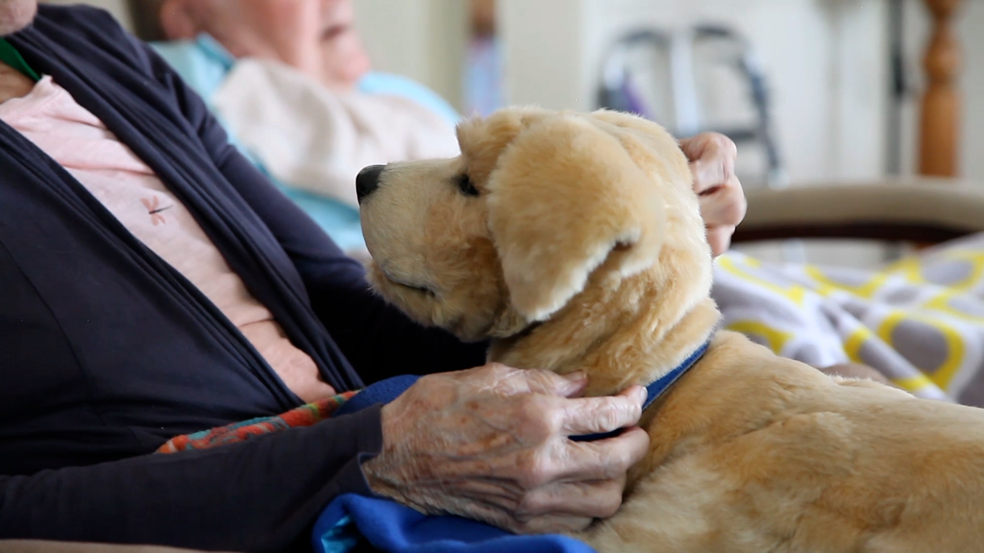 RAW VIDEO: Meet Tombot's Jennie - The Robot Dog Who'll Help Dementia ...