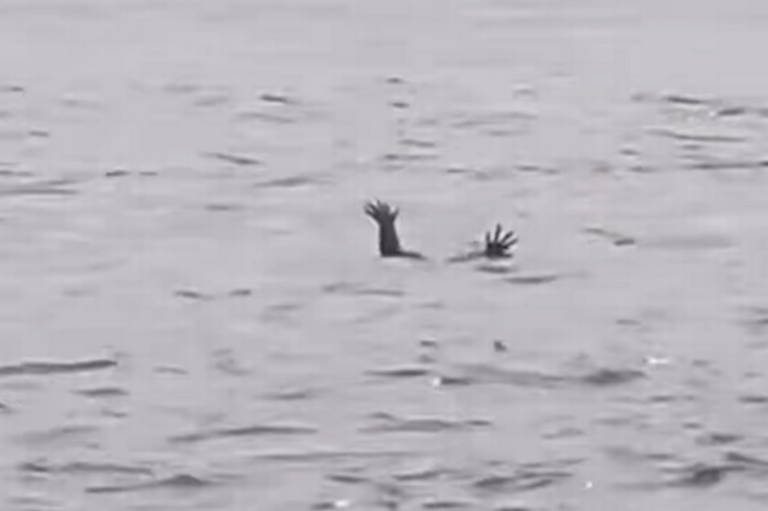 Cunning alligators 'luring people to their death – by imitating ...