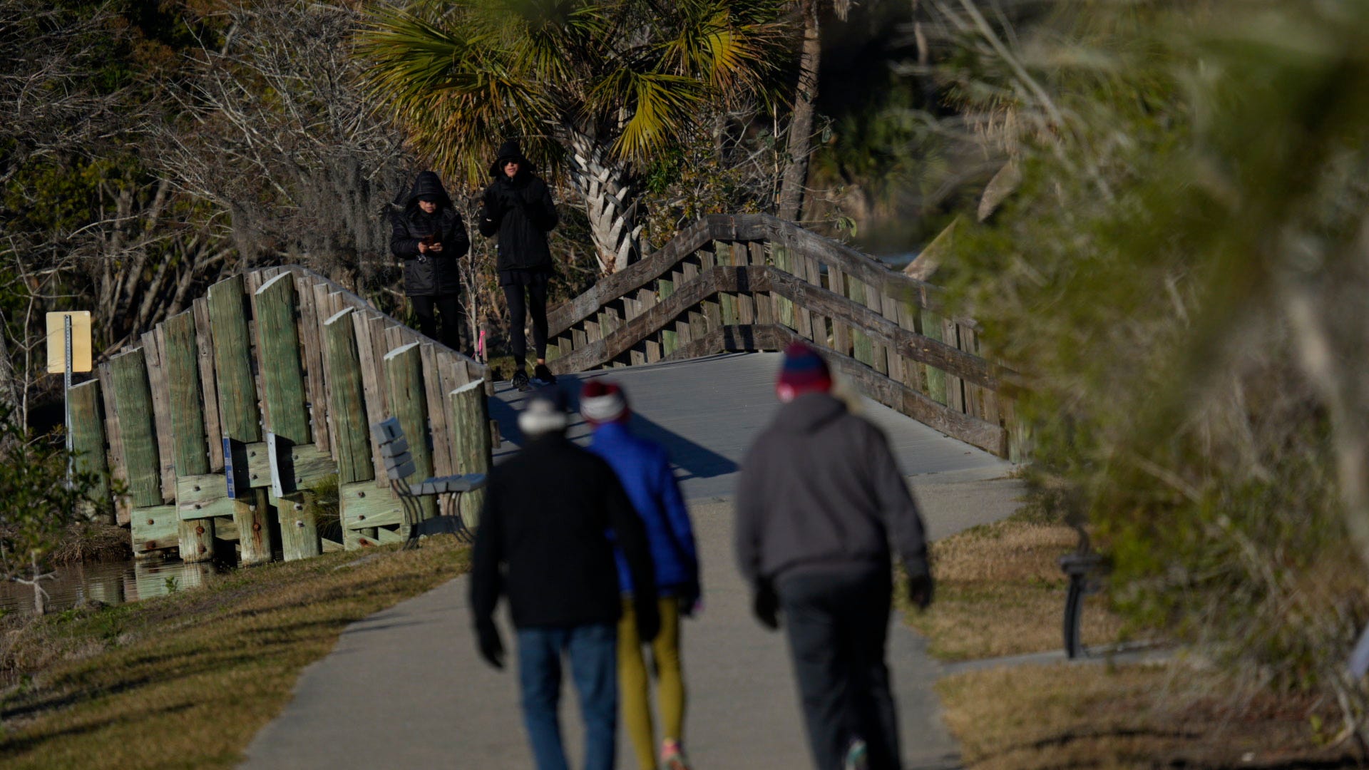 Cooler, but pleasant, weather incoming: How cold will it get in Naples ...