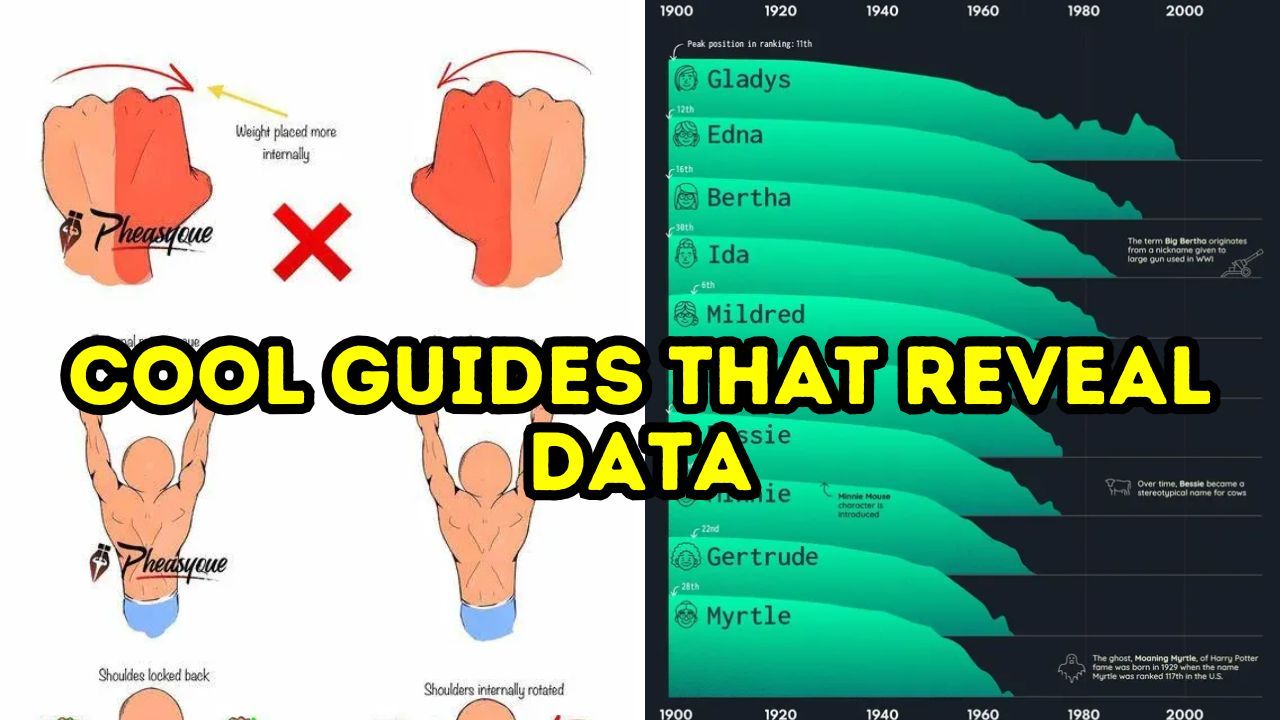 24 Incredible Guides That Will Expose Data You Never Imagined