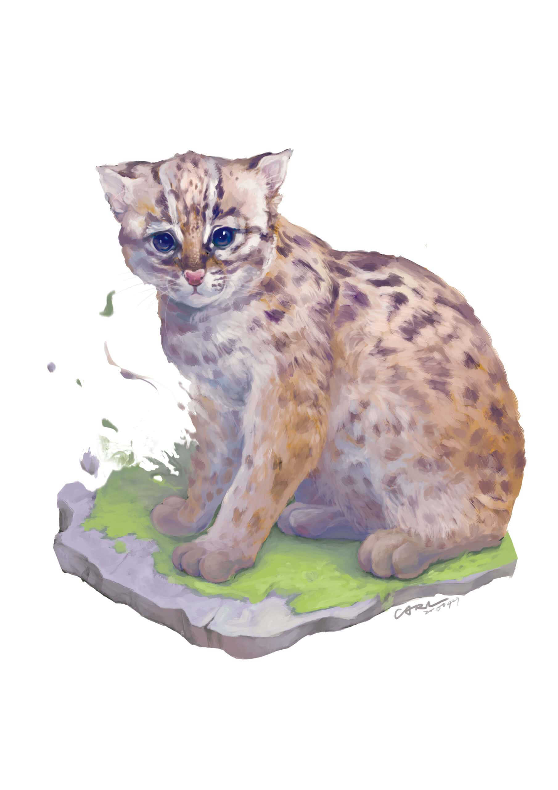 Scientists Discover 300,000-Year-Old Fossil of World’s Tiniest Leopard ... Scientists Discover 300,000-Year-Old Fossil of World’s Tiniest Leopard ...