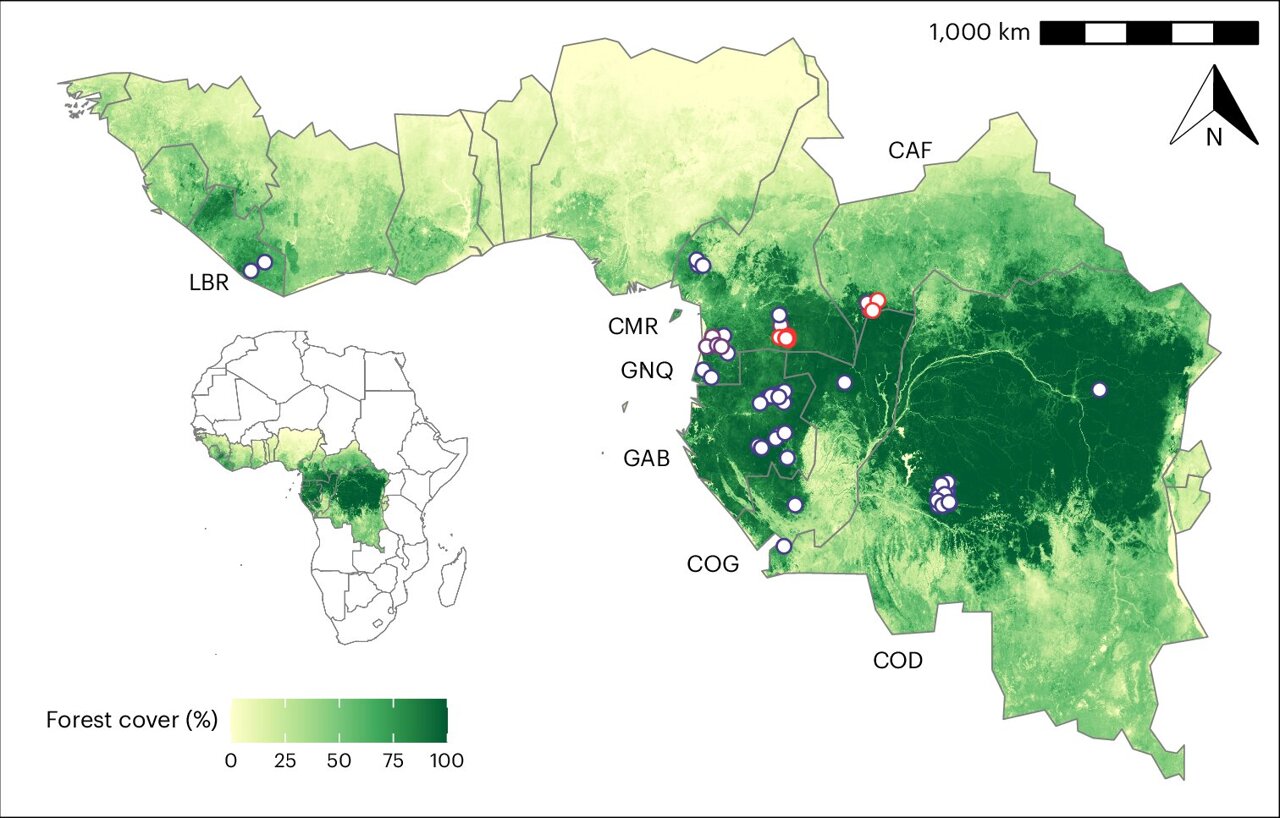 Database paves the way for first study to compare wild animal hunting ...