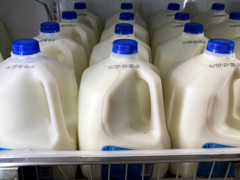 ‘Fill the Bucket with Milk’ drive starts June in Lowville