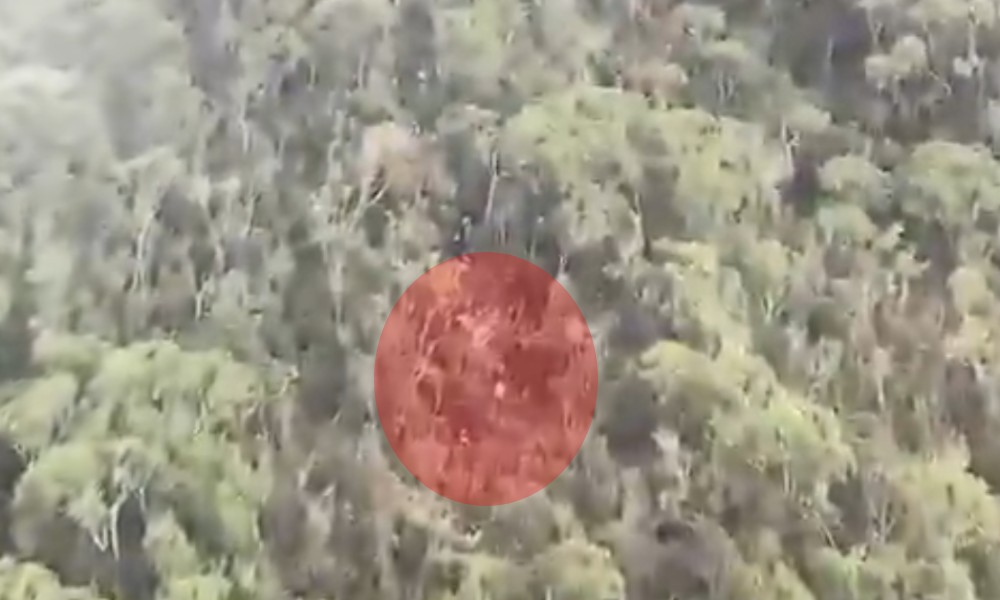 Avistan restos de lo que podría ser la aeronave Cessna 402 desaparecida ...