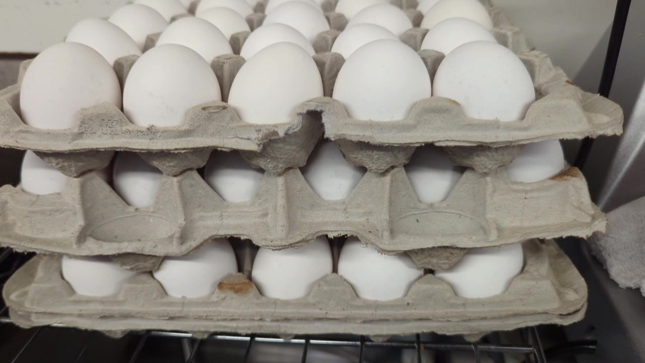 Publix reports egg shortage due to bird flu