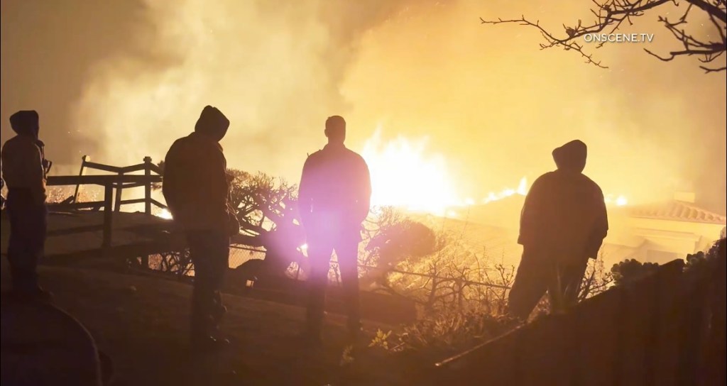 The deadly fires: review by the numbers