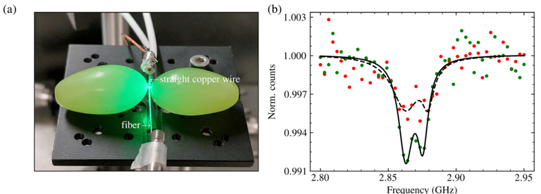 Grapes improve performance and precision of quantum sensors
