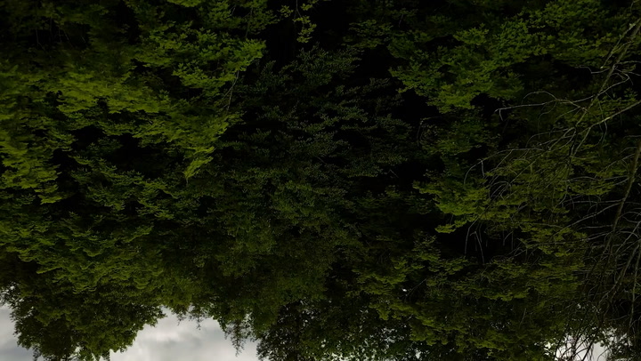 Kevin Macleod - Almost In F - Tranquility Ambient - Woods Stream ...