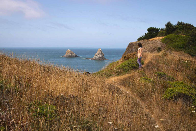Hiking the Samuel H. Boardman State Scenic Corridor