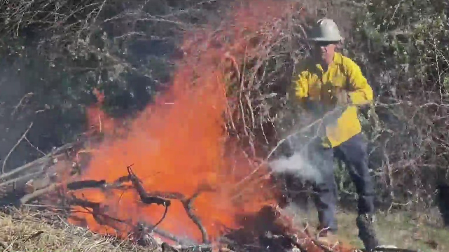 East Bay fire district reduces risk with prescribed burn East Bay fire district reduces risk with prescribed burn
