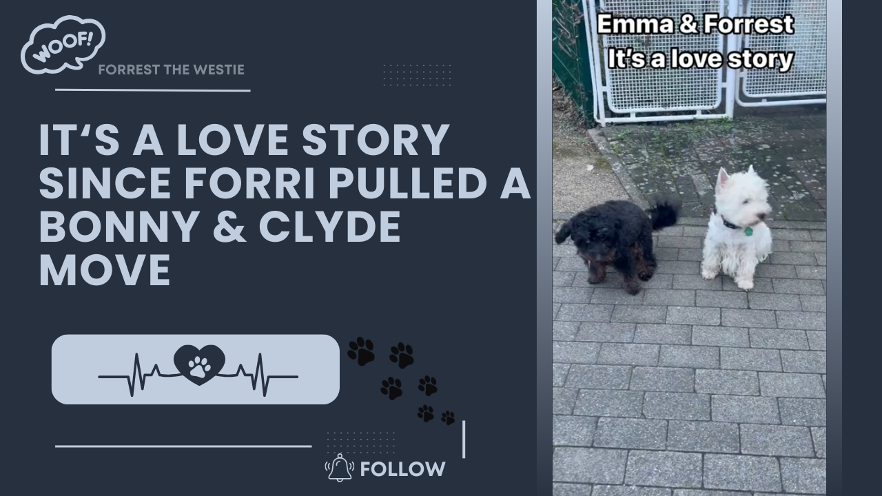 It‘s a love story since Forri pulled a Bonny & Clyde move