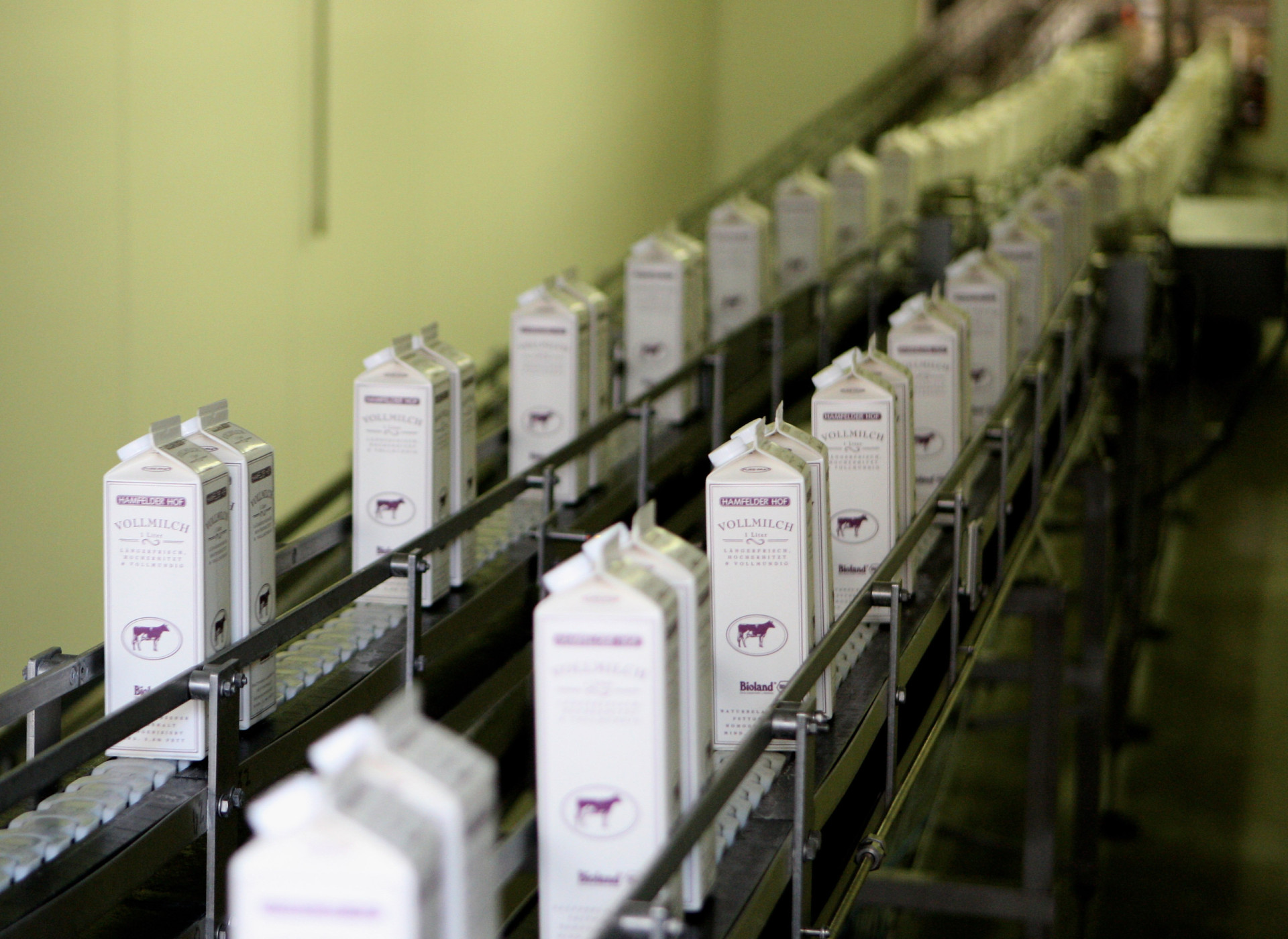 Myths, truths, and fun facts about milk