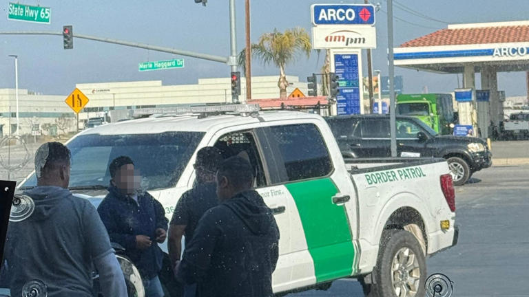 US Border Patrol arrests migrants during enforcement operation