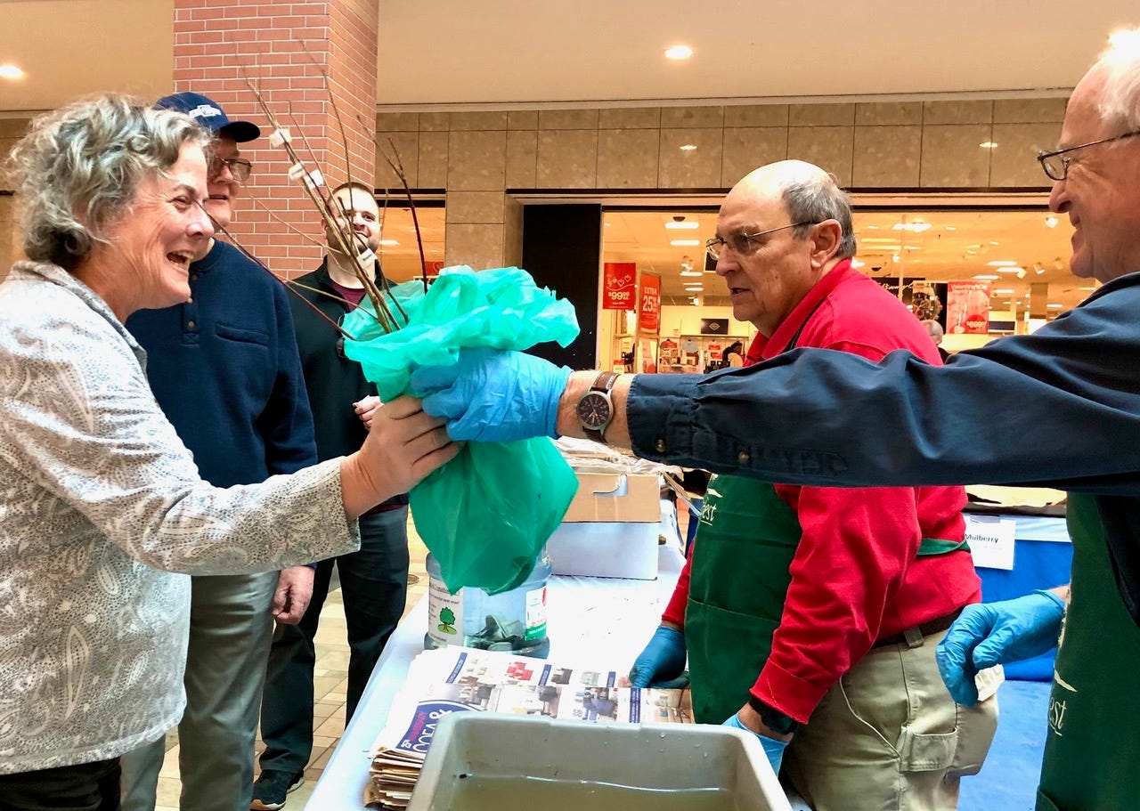 Wilmington residents can help replenish nature at the upcoming TreeFest