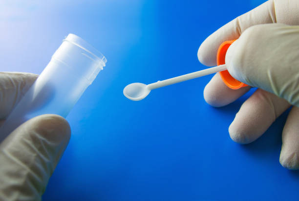 BossaNews Brasil - MSN