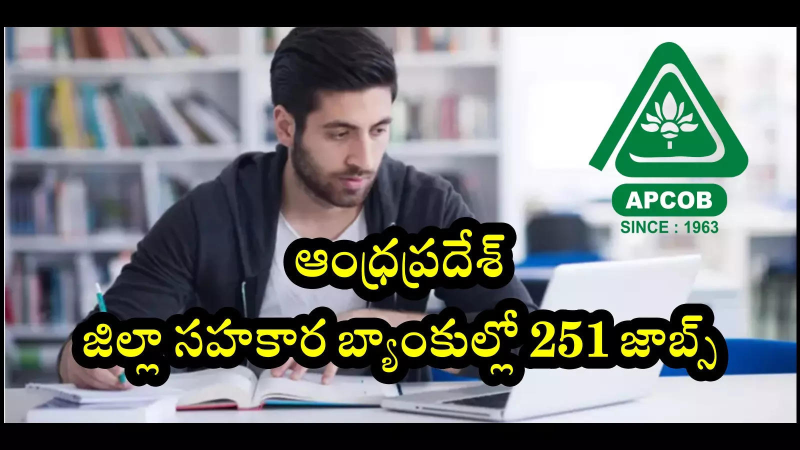 APCOB : ఆంధ్రప్రదేశ్‌ DCCB బ్యాంకుల్లో 251 ఉద్యోగాలు.. పోస్టులను బట్టి ...