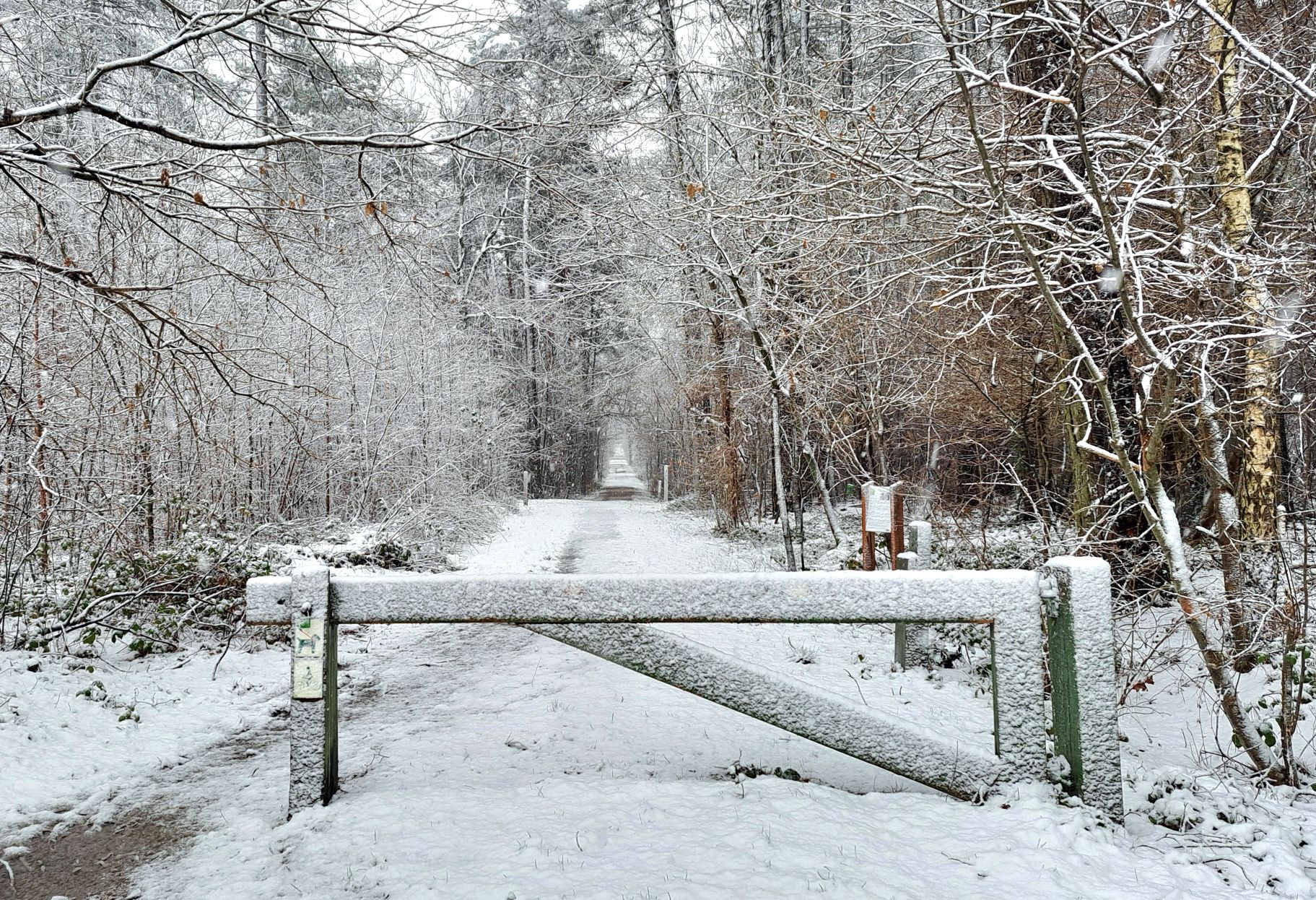 Weerman Samuel: "Winters weer gaat er stilaan uit"