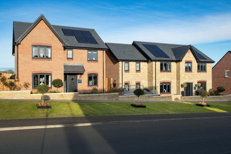 Bellway offers homebuyers in Northumberland up to £25,000 to help make ...