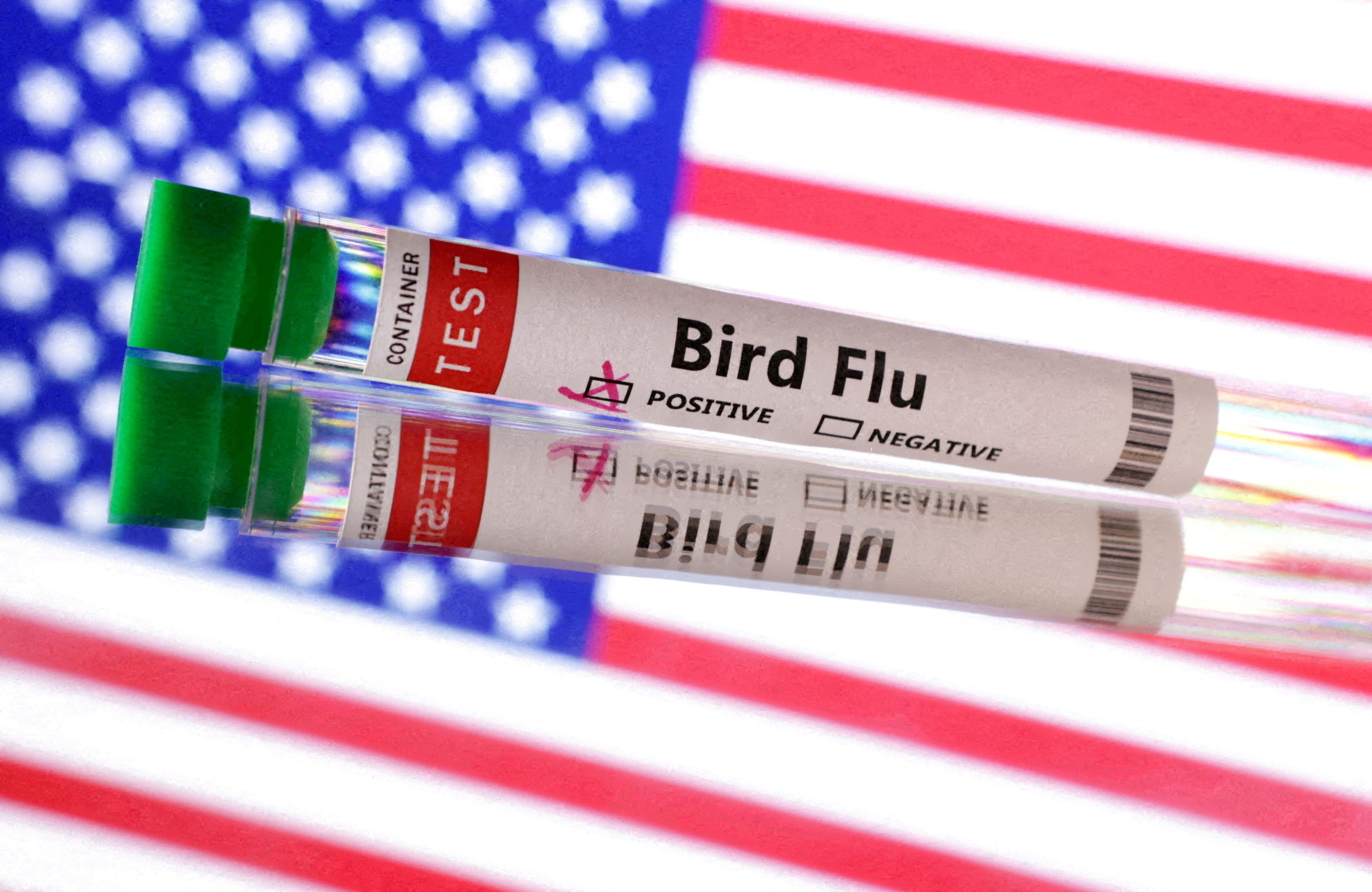 NJ, Delaware, Pa trying to keep you from getting bird flu; what to know ...