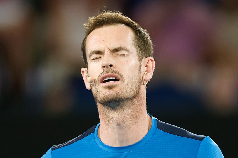 Andy Murray's £2m investment shows improvement as new figures are revealed