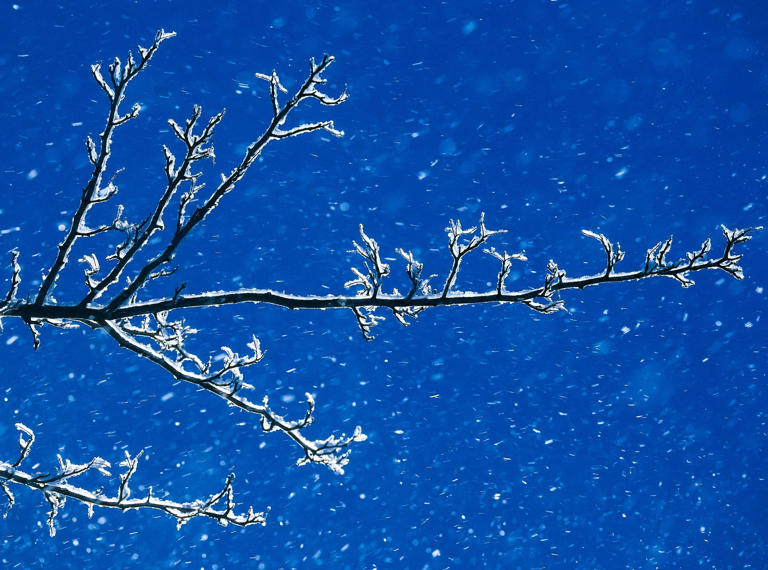 When does winter 2025 start? More on first day of season, winter solstice