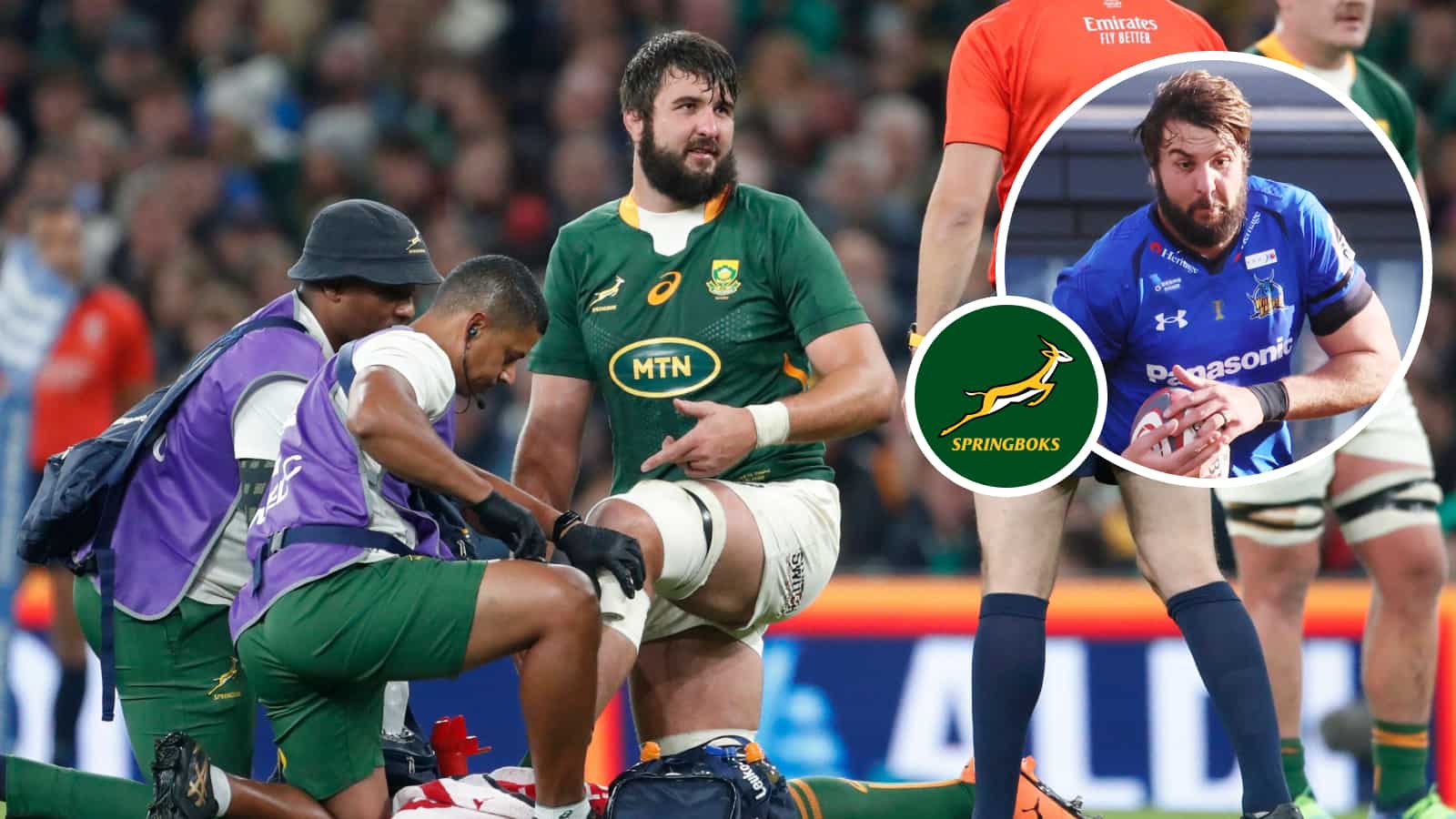 Springboks lock set for long-awaited return after seven months out for ...