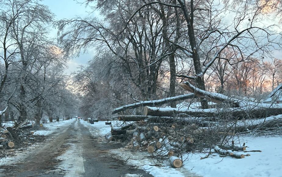 Evansville offering storm debris drop off site