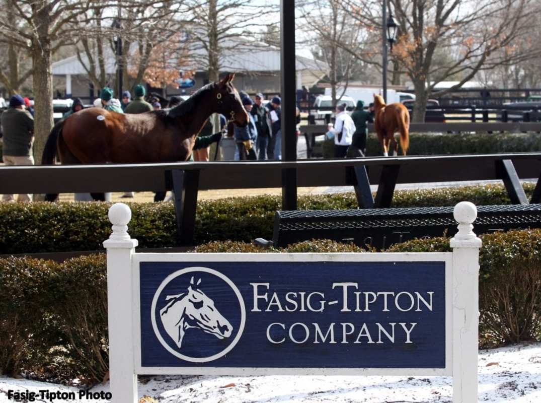 Fasig-Tipton 2025 Kentucky Winter Mixed Catalog Now Online