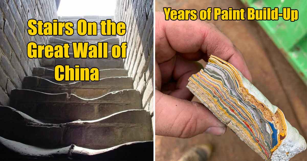 35 Examples of The Natural Change and Decay of Things