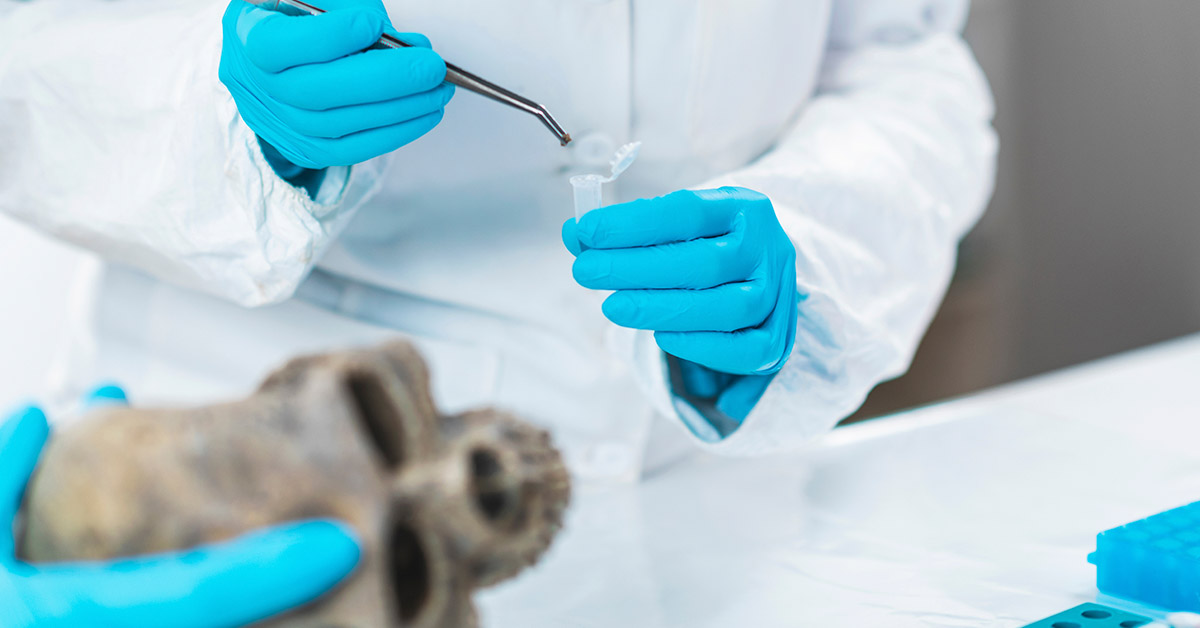 Scientists Discover Ancient Species of ‘Big-Headed Humans' in Asia