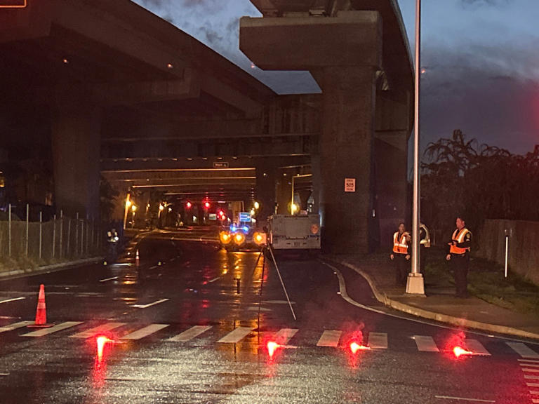 Pedestrian dies from injuries after crash on Nimitz Highway
