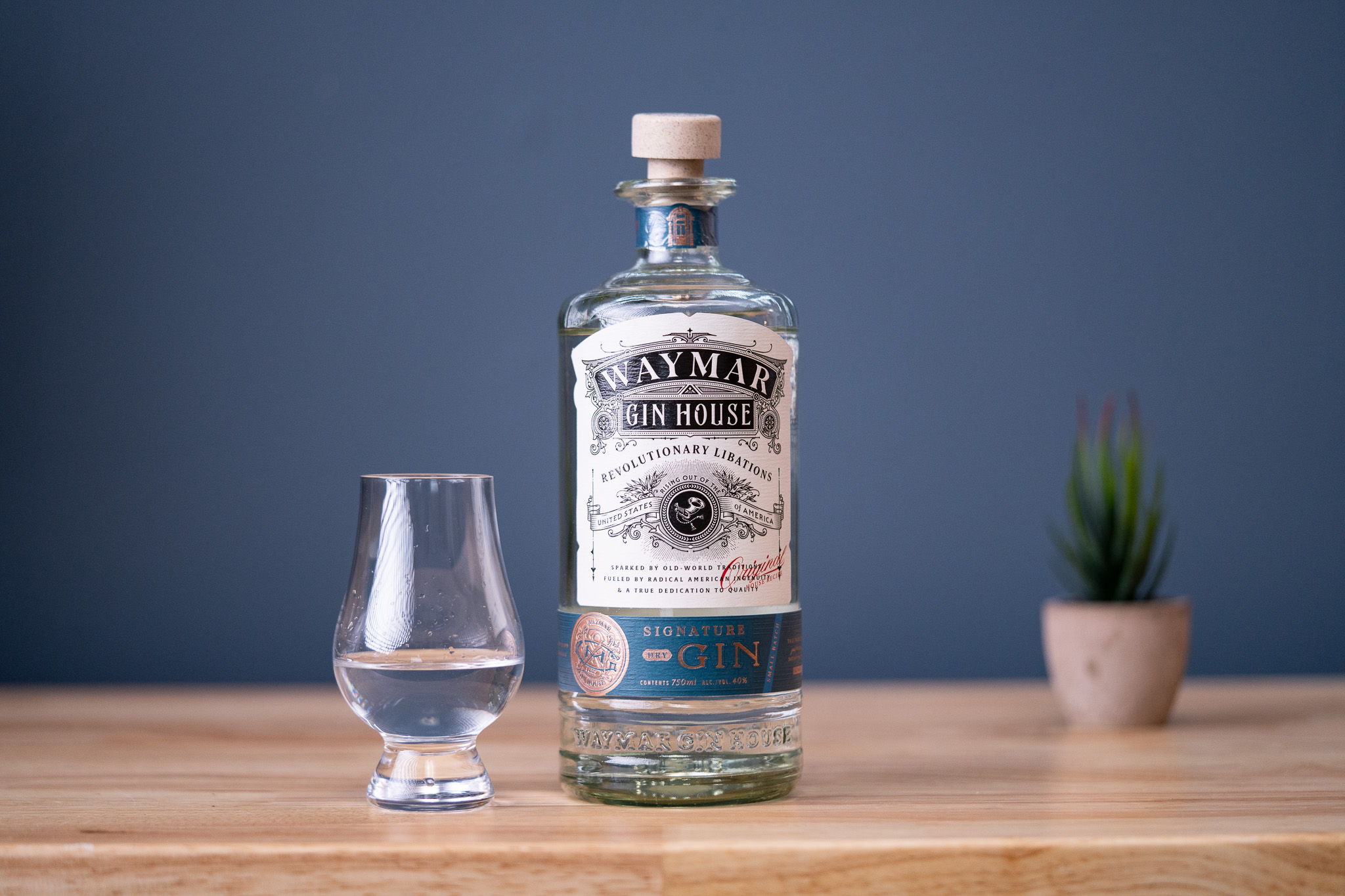 The 10 Best Gins We Tasted in 2024