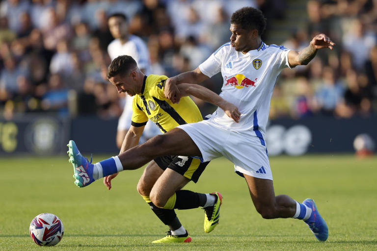 Leeds United v Harrogate Town injury news as fresh blows leave 8 out ...