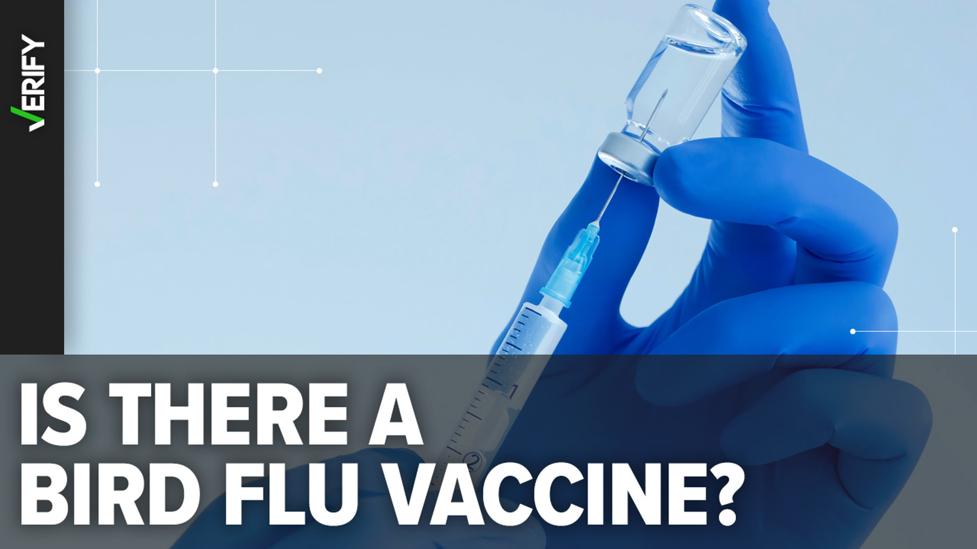 Bird flu H5N1 vaccines: What to know