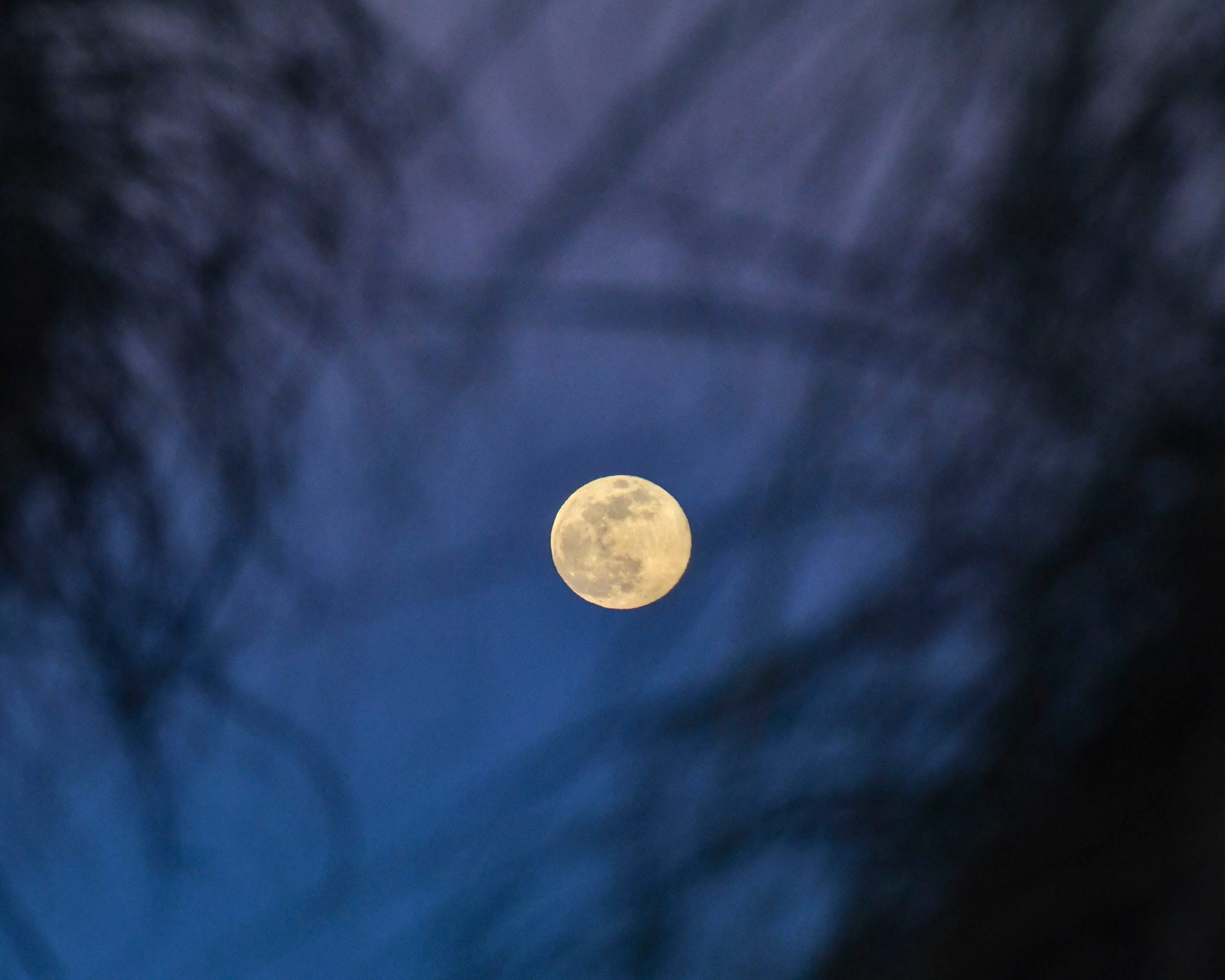 Wolf moon to rise in January: When, how to see 1st full moon of 2025