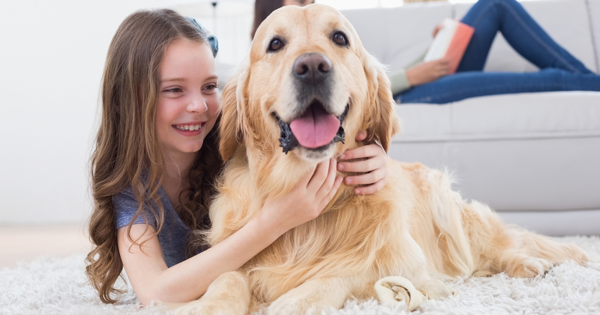 14 Things You Probably Didn’t Know About Dogs