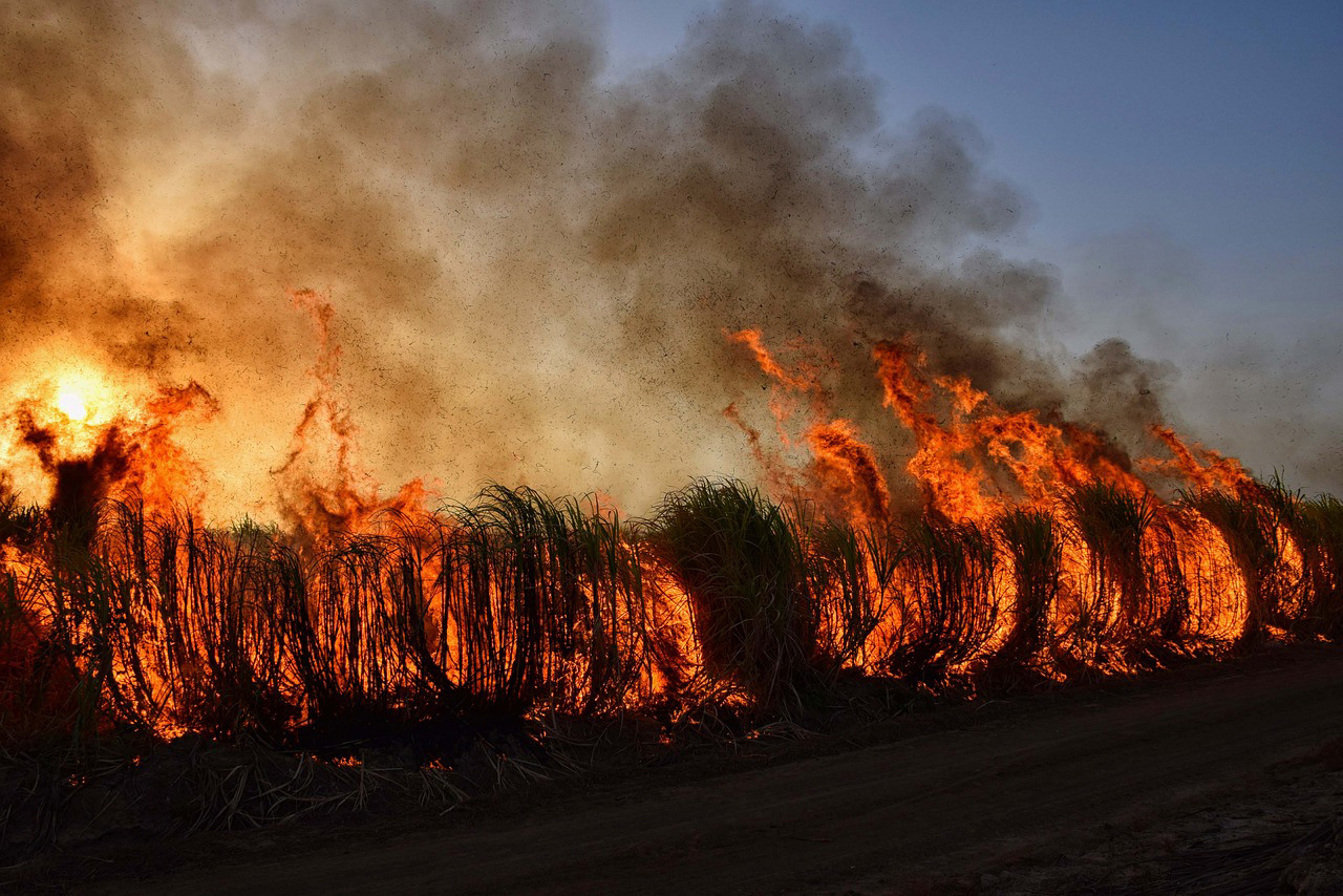 Wildfire Risks in Colorado: What Homeowners Should Be Aware Of Wildfire Risks in Colorado: What Homeowners Should Be Aware Of